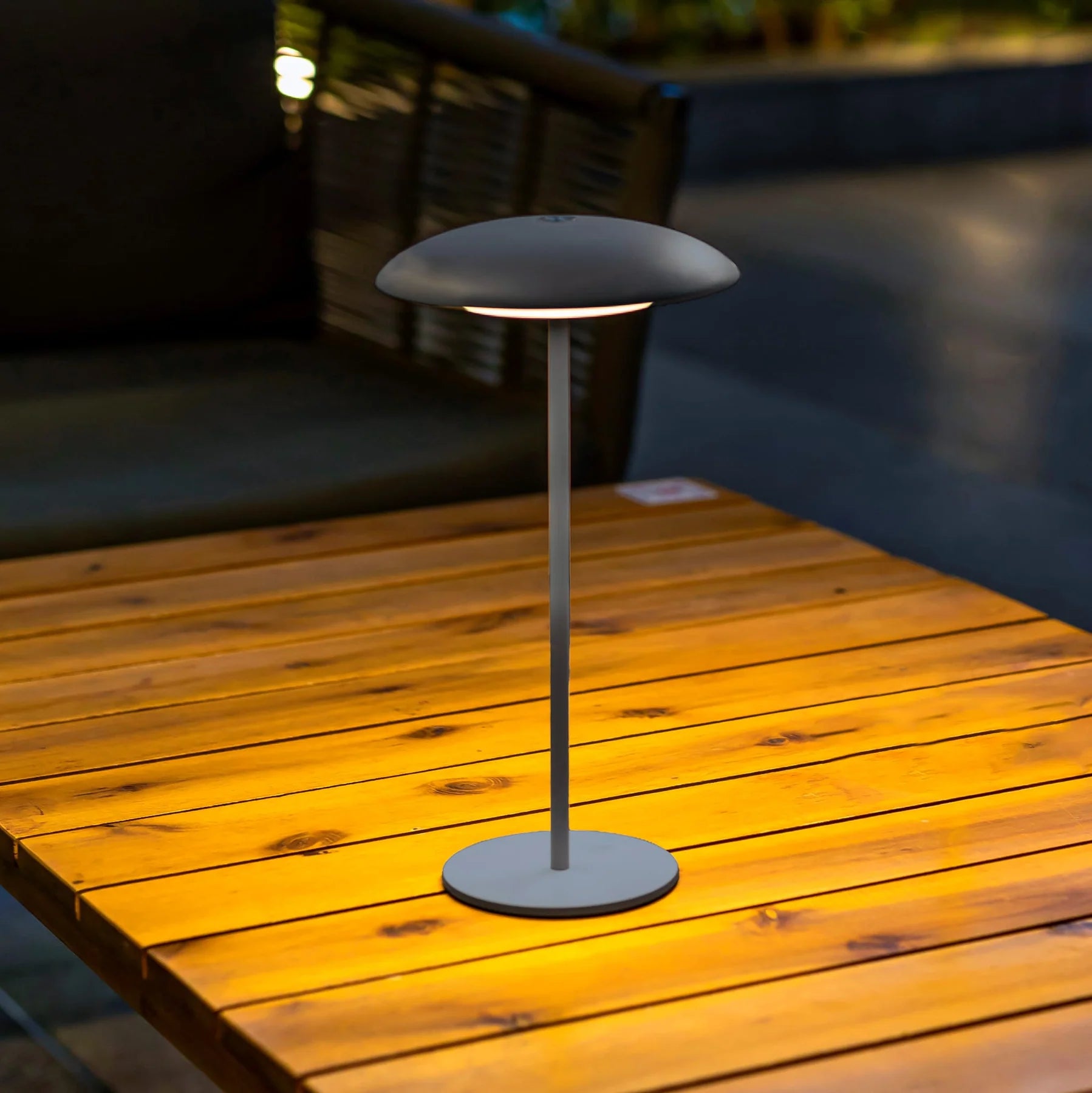 Sardinia Indoor/Outdoor Table Lamp – InsideOut